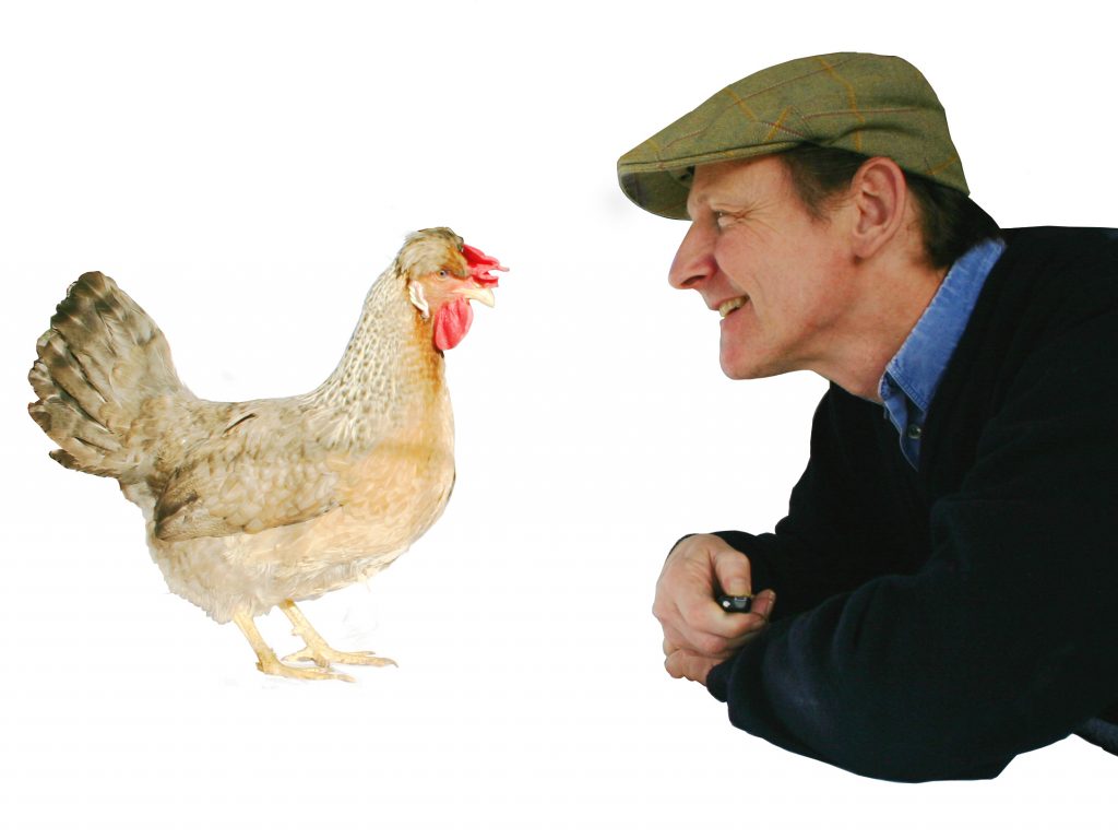 Talking To Hens (free download) – AviVit